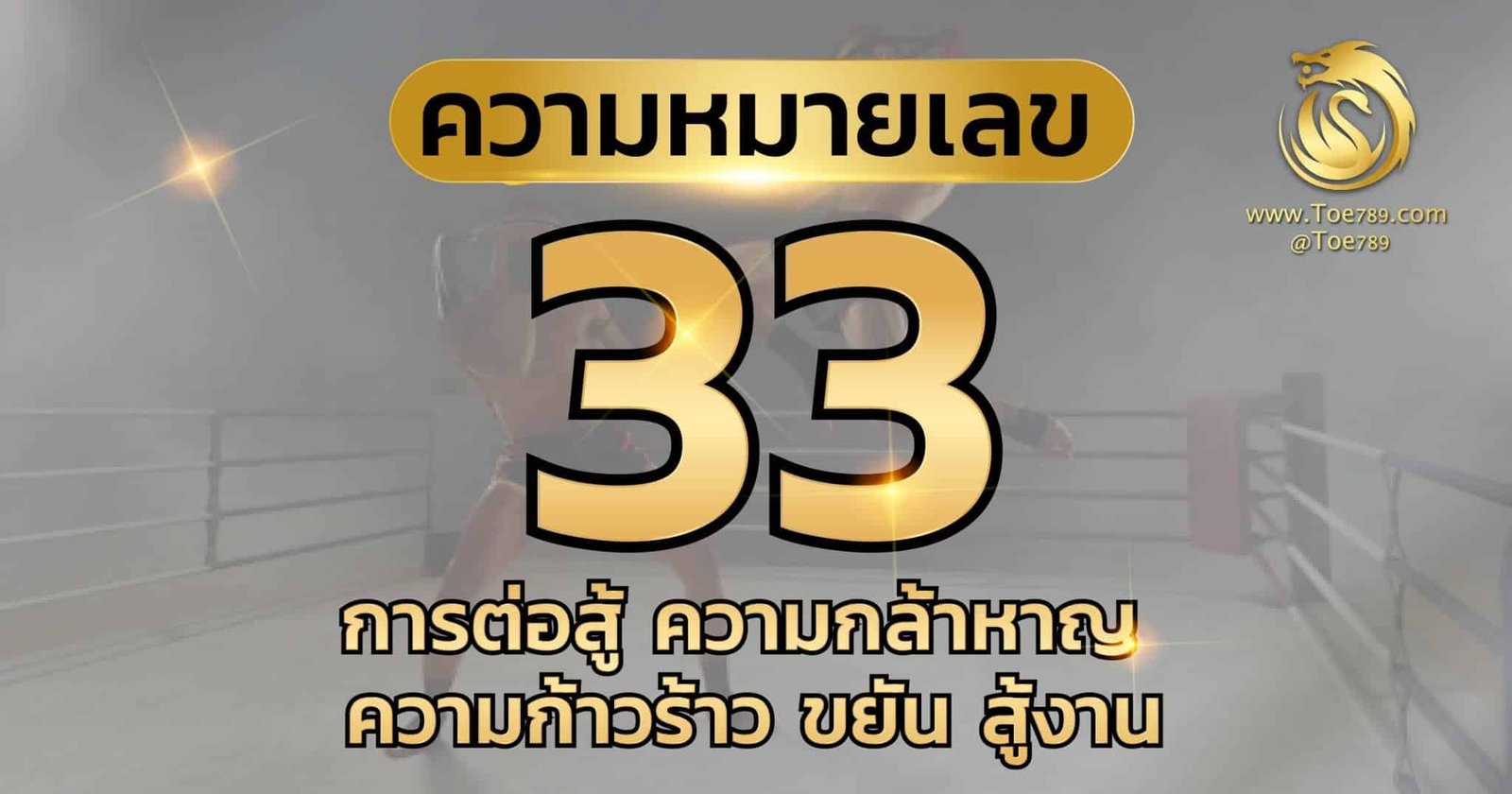 เลข 33 ความหมาย : สื่อถึงการต่อสู้ ความกล้าหาญ ความก้าวร้า